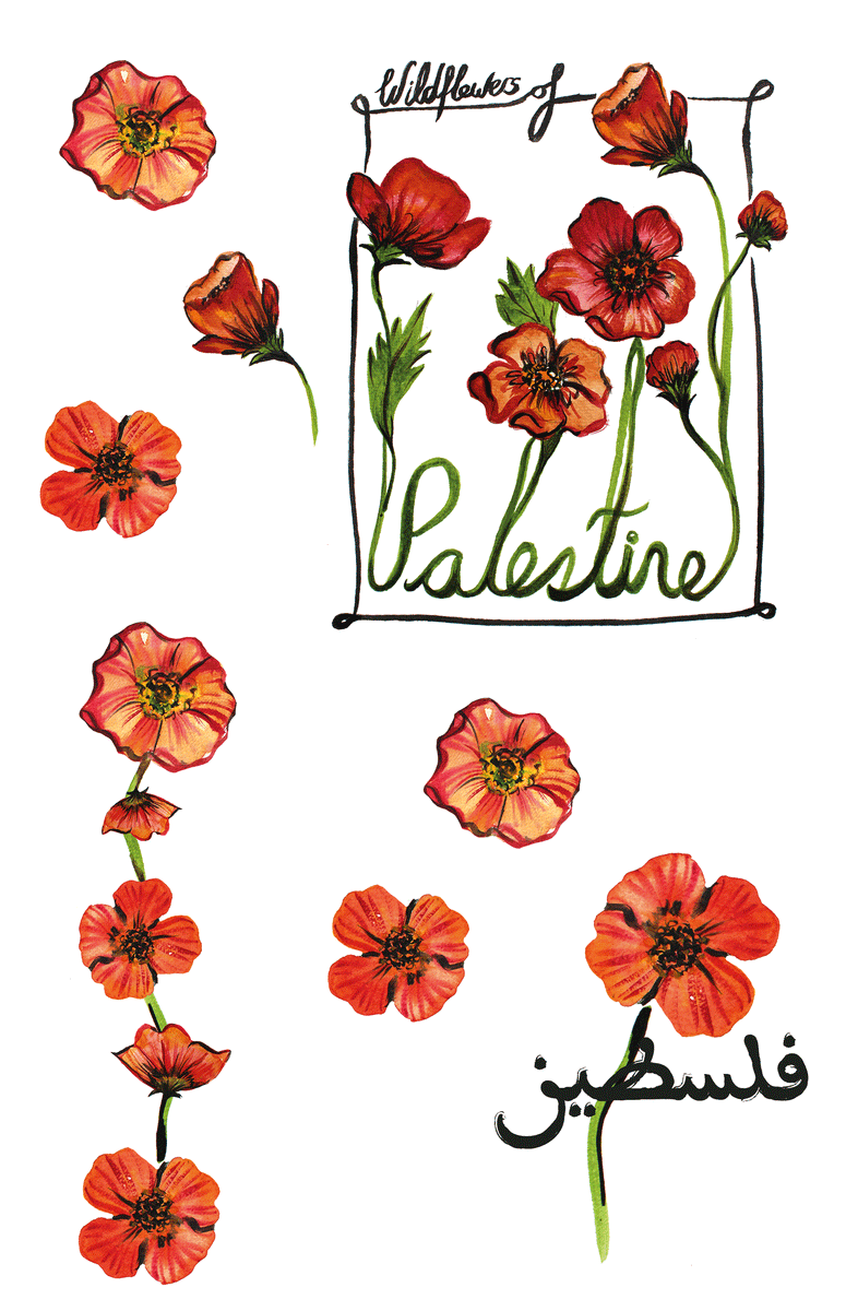 Palestine Poppy Stickers | Shop Online | Mochi® Official Store